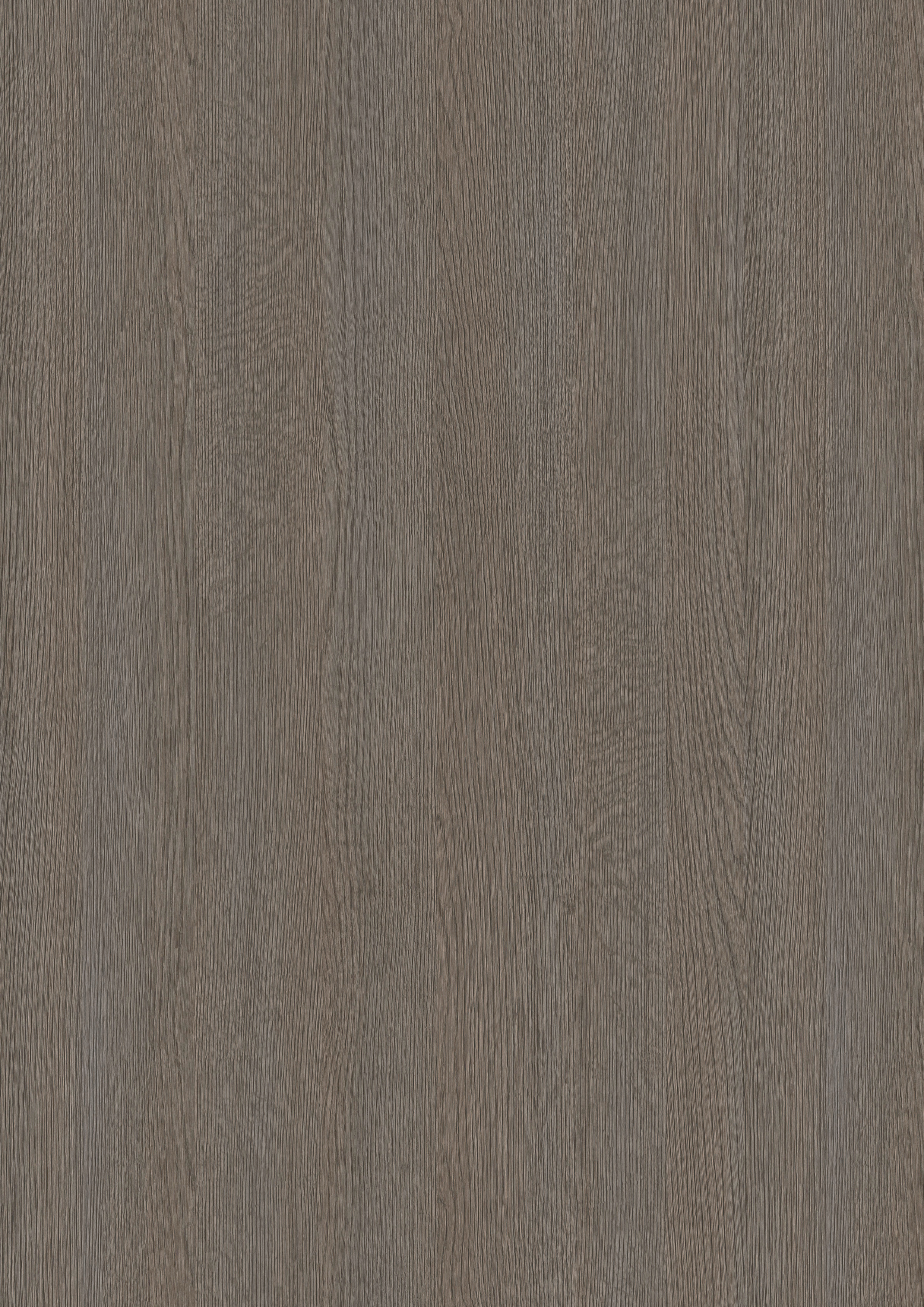 UNIVER KASTAMONU ANTRACIT HRAST 2800x2070x18mm | Kastor d.o.o.